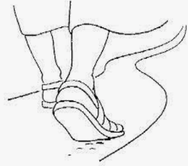 Homélie pour le 13ème dimanche du temps de l'Eglise (Luc 9, 51-62 ...